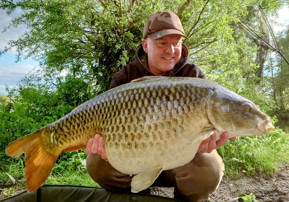 Stunning Common | Total Carp